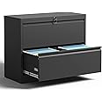 Amazon.com: IKIMI 2 Drawer Lateral File Cabinets Office Filing Cabinet Steel Storage Cabinet ...