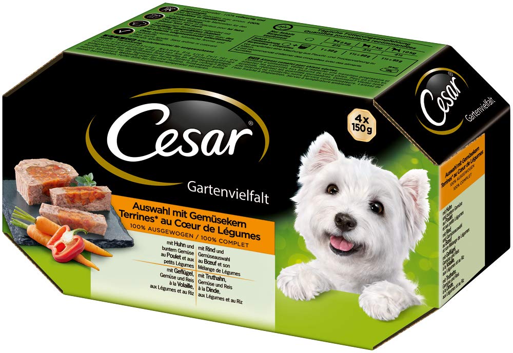 Cesar Hundefutter Nassfutter Gartenvielfalt Auswahl mit Gemüsekern, 24 ...