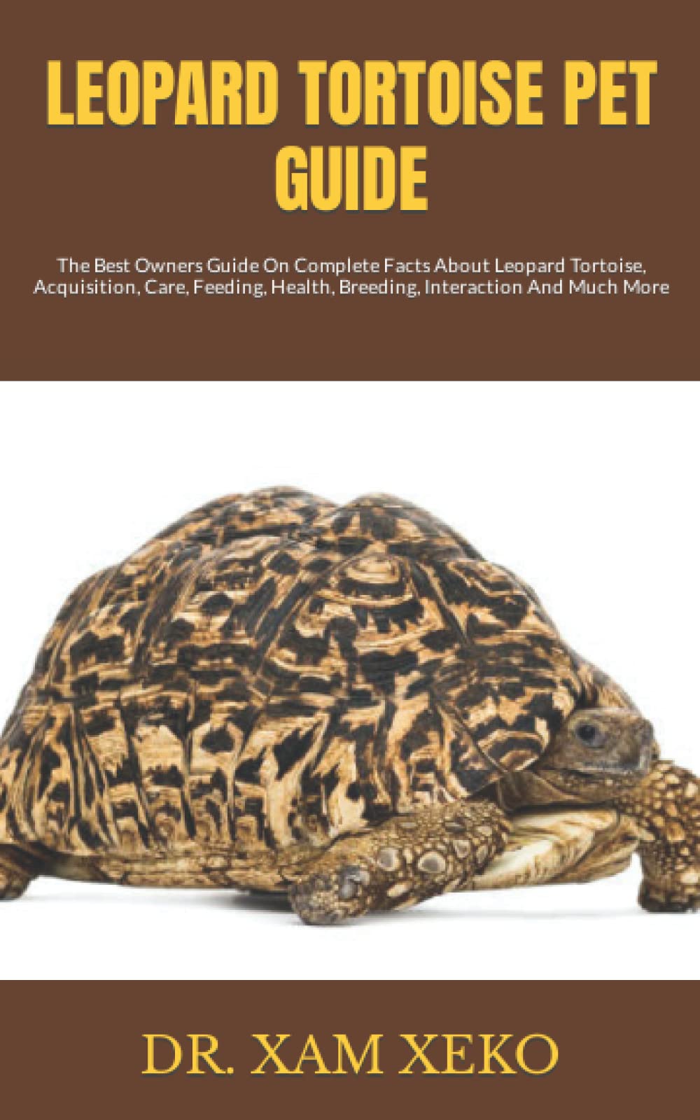 Leopard Tortoise Shell