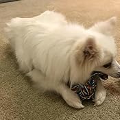 Pet Supplies : DODODO Dog Rope with Tug, Interactive Rope Chew Toys ...