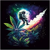 Marijuana Astronaut
