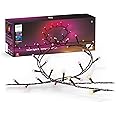 Philips Hue Indoor/Outdoor Holiday 130-Foot Festavia String Lights ...