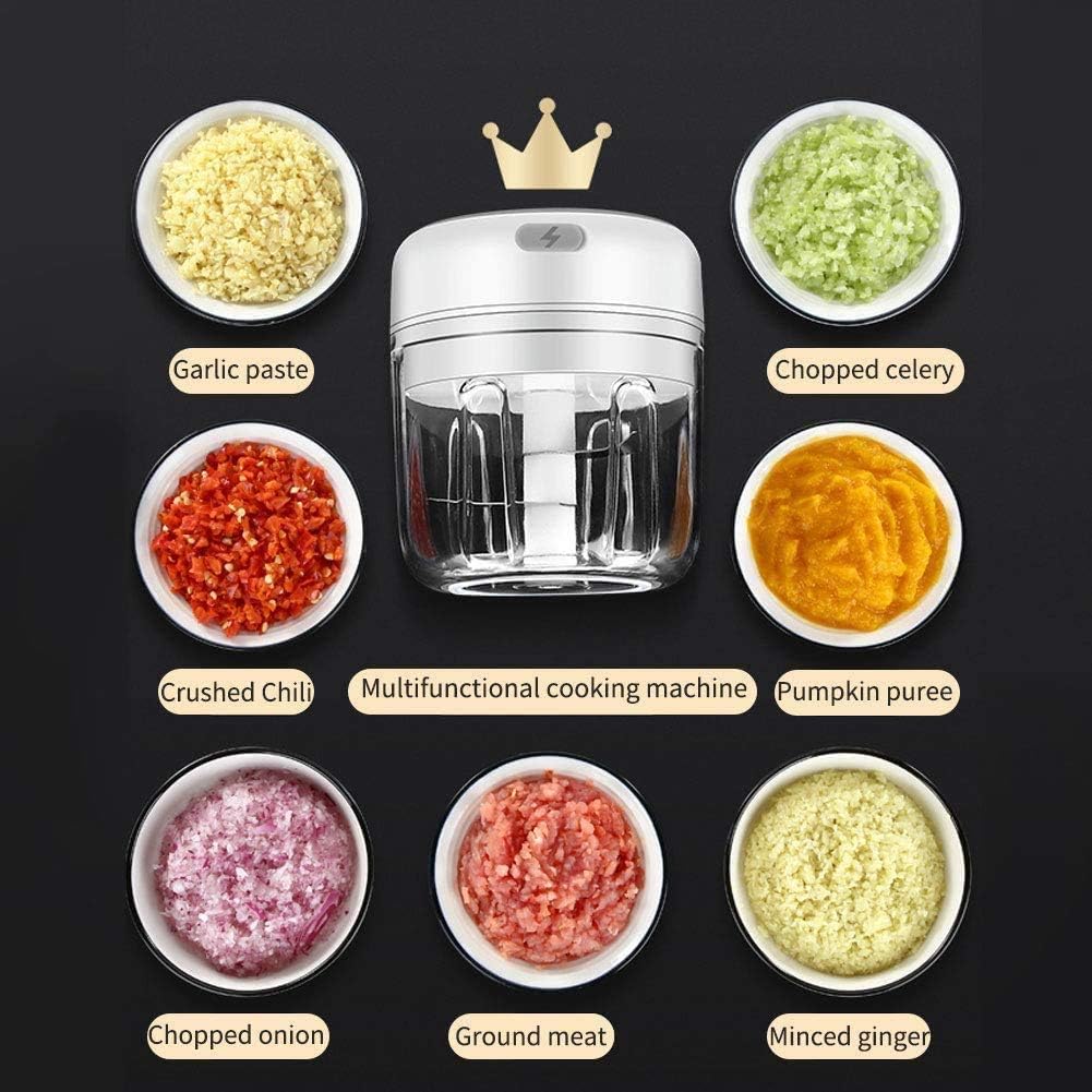 Electric Mini Food Chopper, Vunnalise Garlic Blender Portable Food ...