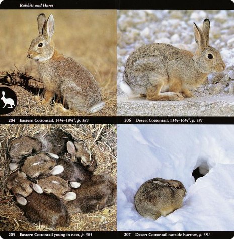 National Audubon Society Field Guide to North American Mammals ...