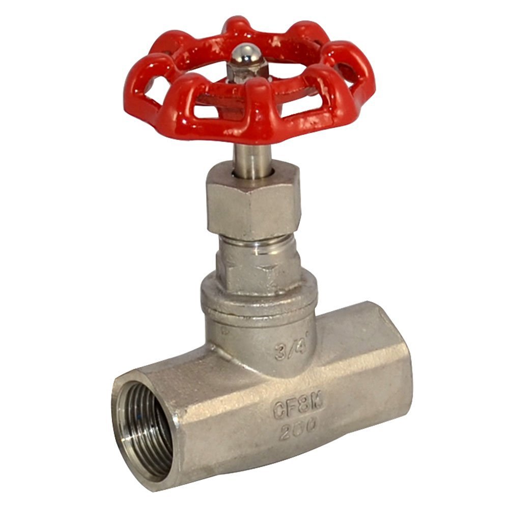 SUS SS 316 Heavy Duty Globe Valve 3/4" Stainless Steel CF8M NPT on ...