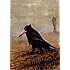 Amazon.com: Home Cabin Décor Krahe by Rudi Hurzlmeier 24x33 Crow Raven ...
