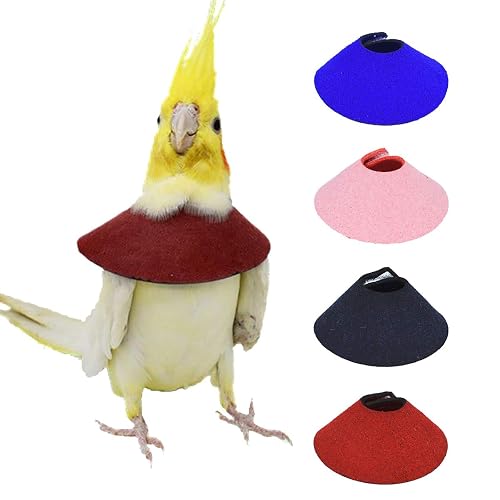 QBLEEV 4Pack Pet Parrot Anti-bite E-Collars, Anti-Grab Feather Plucking ...