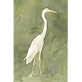 Amazon.com: Emerald Heron I Poster Print - Emma Caroline (18 x 24 ...