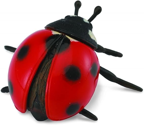 Collecta – 3388474 – Insects – Ladybird Figurine: Amazon.co.uk: Toys ...