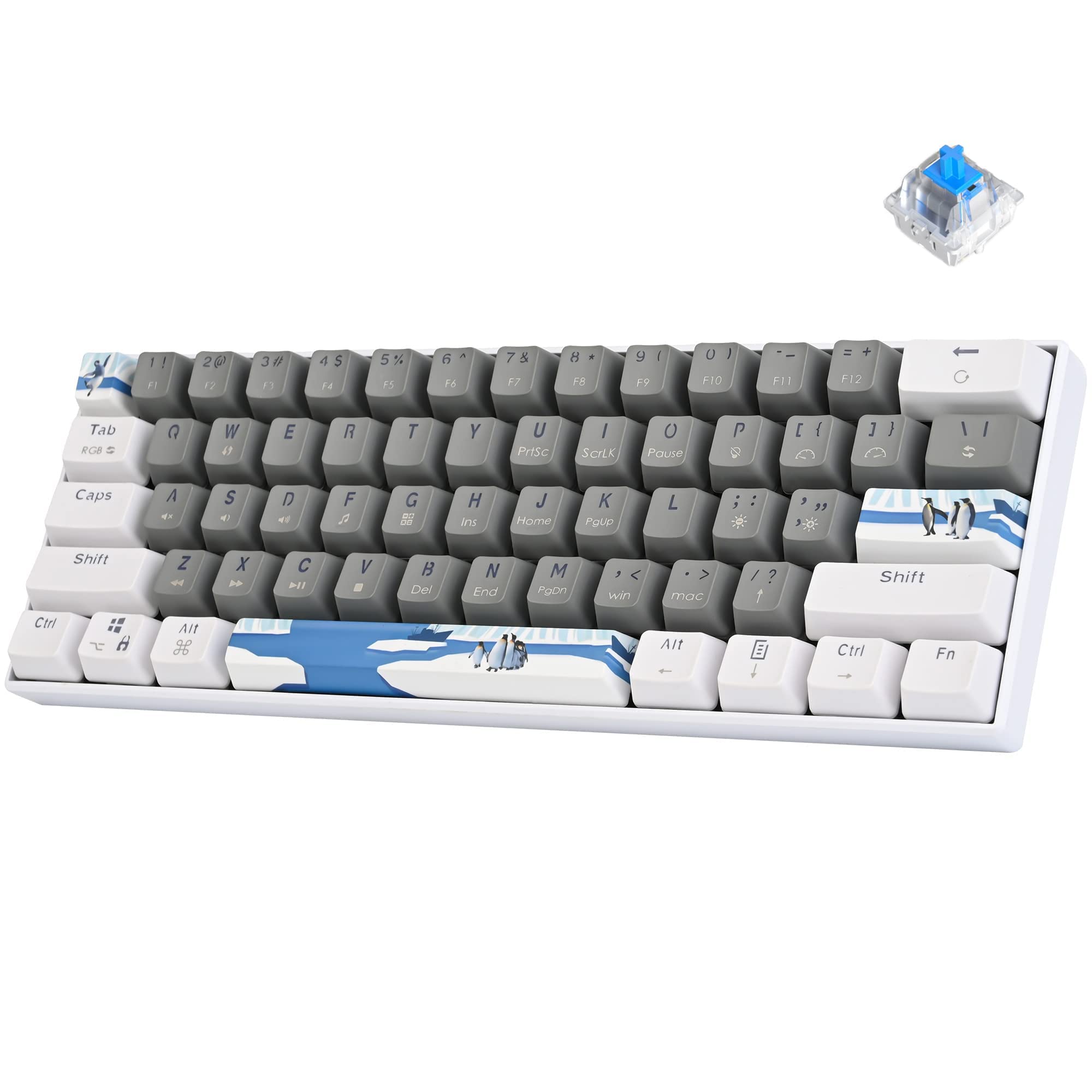 Mua Taeeiancd 60% Mechanical Keyboard 61-Key Wired Gaming Keyboard with ...