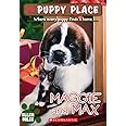Amazon.com: Maggie and Max (The Puppy Place): 9780545034562: Miles ...