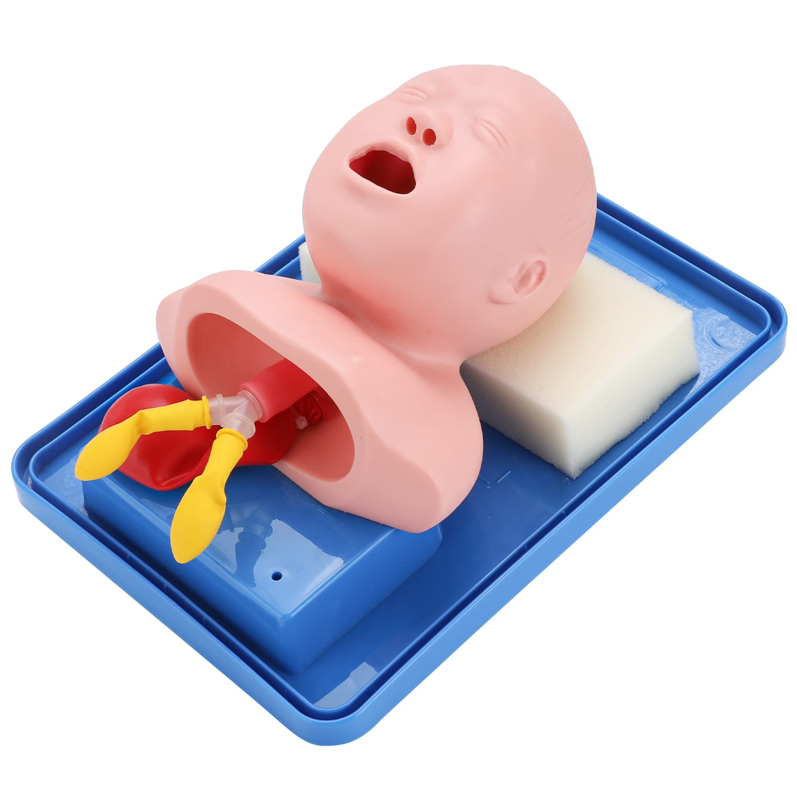 Mua HEALTHIBLE Tracheal Intubation Infant Model - Oral/Nasal Intubation ...