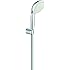 Grohe Tempesta 100 27597001 Hand Shower 2 Jet Types Chrome: Amazon.co ...