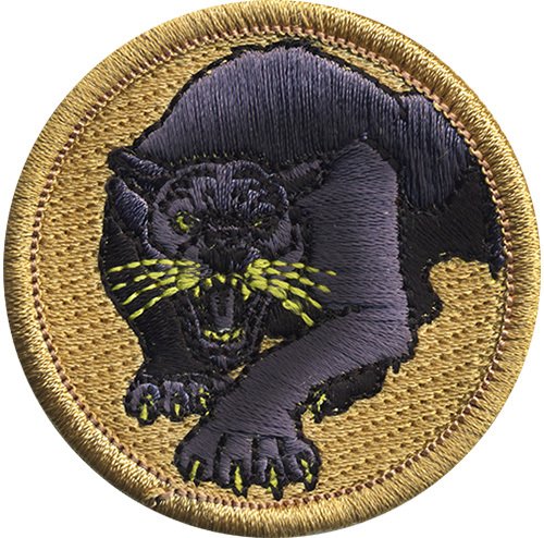 Buy Panther Patrol Patch - 8 Pack- for Scouts and Scouters - Licensed ...