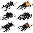 Amazon.com: DOYIFun Pack of 6 Lifelike Beetle Model Toys, Fake ...