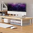 Amazon.com: WANLIAN 19.6 inch Monitor Stand,Monitor stand for desk ...