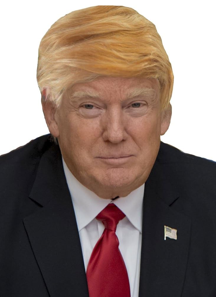 Funny Donald Trump Wig for Adults Kids Trumps Hair Halloween Costume ...