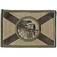 Amazon.com : Gadsden and Culpeper Florida Tactical Flag Patch (Multitan) : Tactical And Duty ...