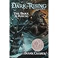 Amazon.com: The Dark is Rising (The Dark is Rising Sequence ...