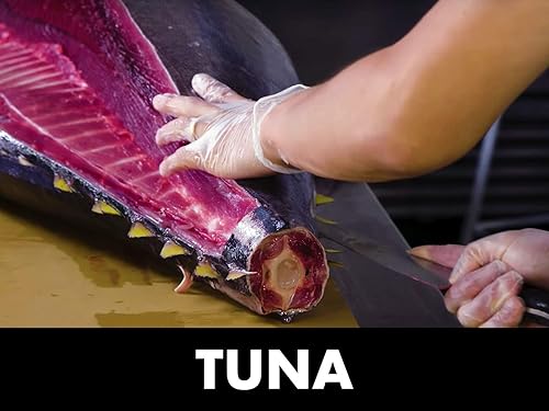 How To Butcher a Whole Tuna: Every Cut of Fish Explained in Kuwait ...