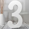 Amazon.com : AOCEAN 8 Inch White Wood Numbers, Unfinished Wood Number ...