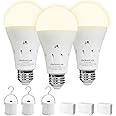 Amazon.com: JacksonLux Battery Operated Cordless Light Bulbs for Lamps ...