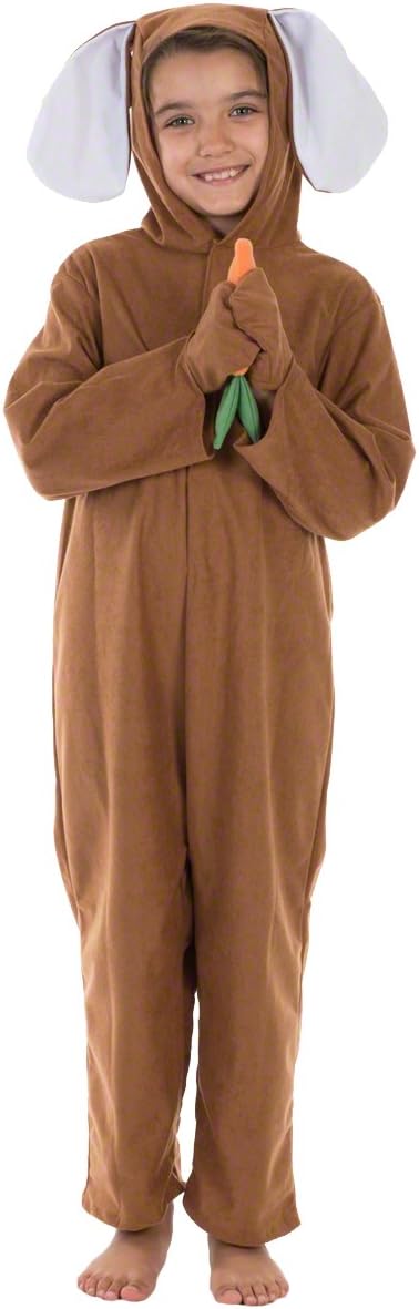 Charlie Crow Brown Rabbit/Hare Costume for kids 5-7 Years – BigaMart