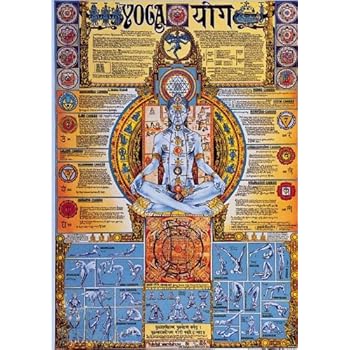 Yoga Asana Poster 908 Postures Naples