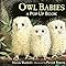 Owl Babies: Martin Waddell: 9781406352344: Amazon.com: Books