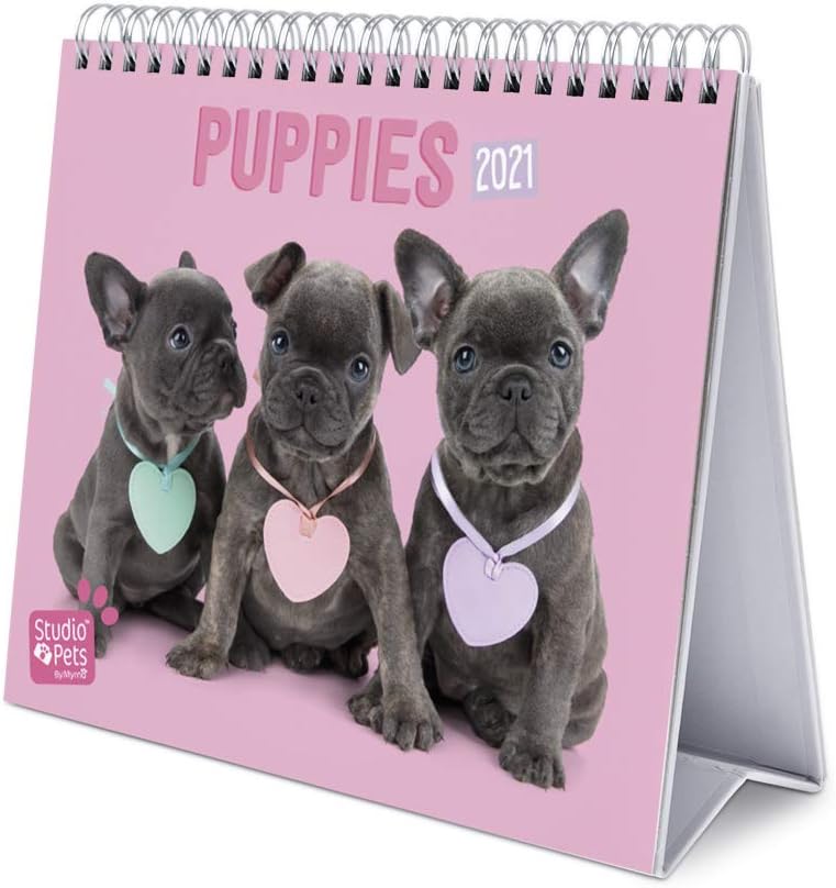 Erik – Studio Pets Dogs 2021 Desk Calendar – Desktop Calendar 2021 ...