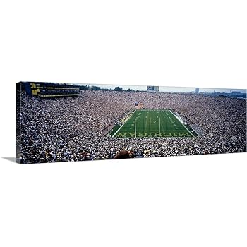 Amazon.com: Framed Michigan Spartan Stadium Aerial Stadium Print Wall ...