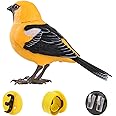 Amazon.com: Doefo Electric Singing and Chirping Bird Toy, Interactive ...