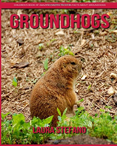 Buy Groundhogs: Children's Book of Amazing Photos and Fun Facts about Groundhogs Online at ...