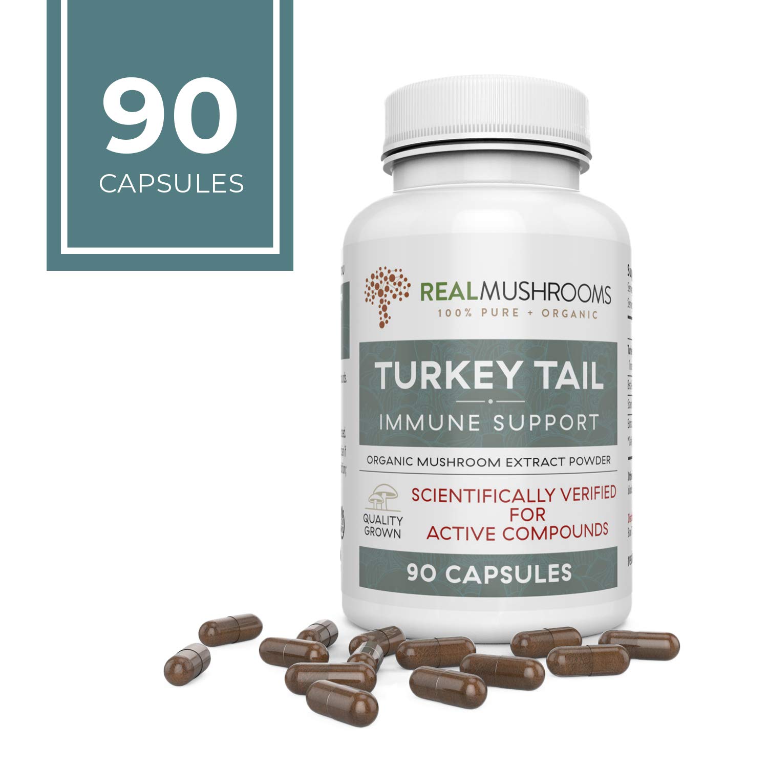 What Is The Best Turkey Tail Mushroom Supplement at Danny Douglas blog
