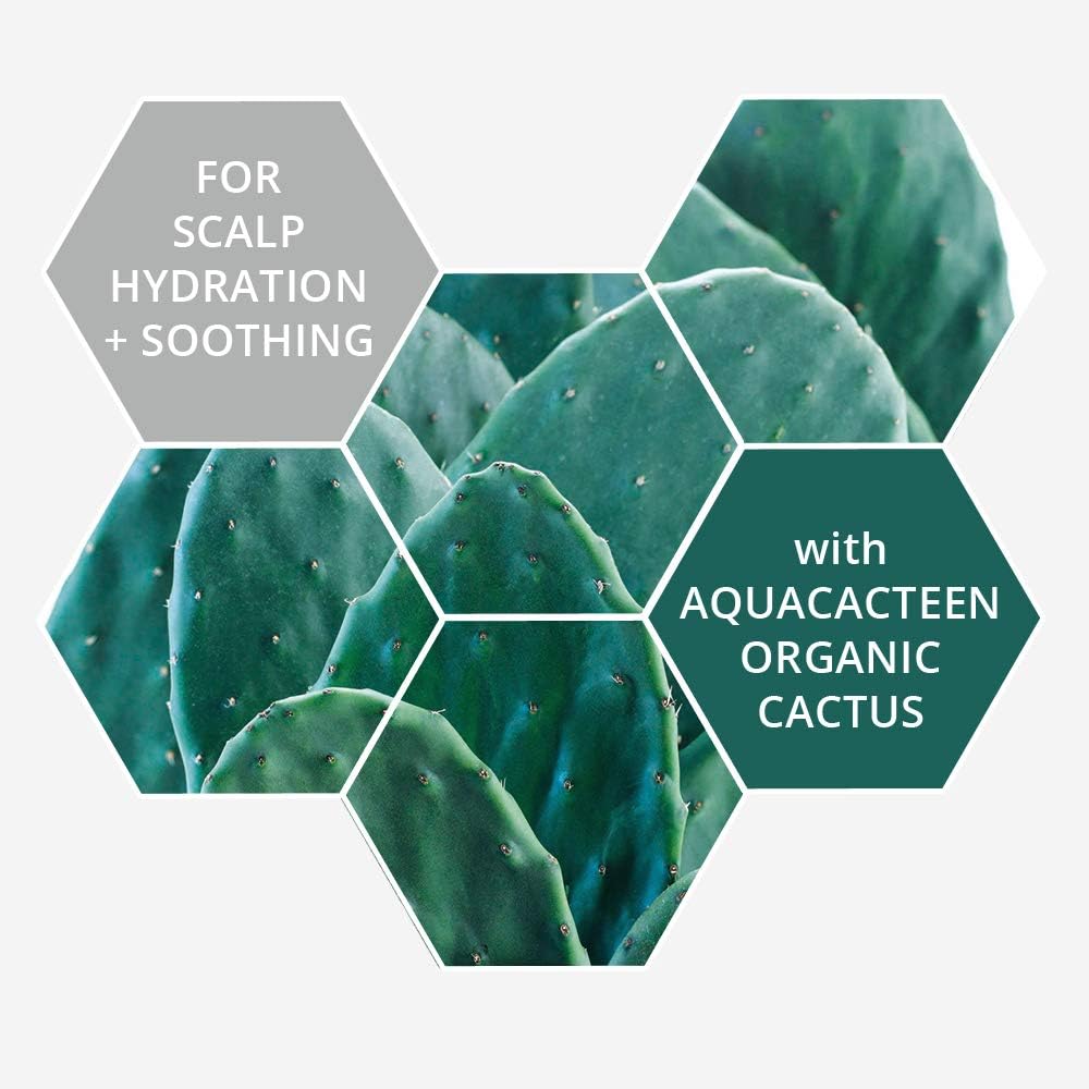 HYDRALUXE™ Hydrating Scalp Conditioner for a dry, itchy scalp with ...