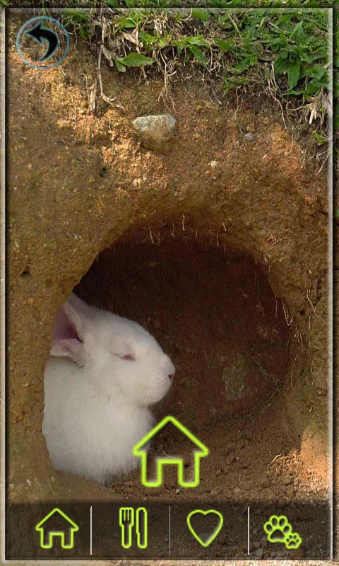 Aniworld Lite cool fun animal game for kids:Amazon.de:Appstore for Android