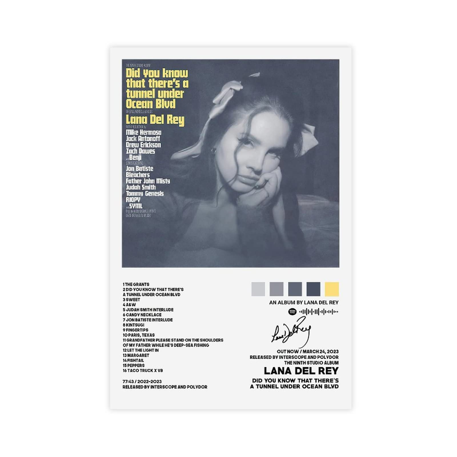 Mua Lana Poster Del Rey Posters Did You Know That There's A Tunnel Under Ocean Blvd Album Cover ...