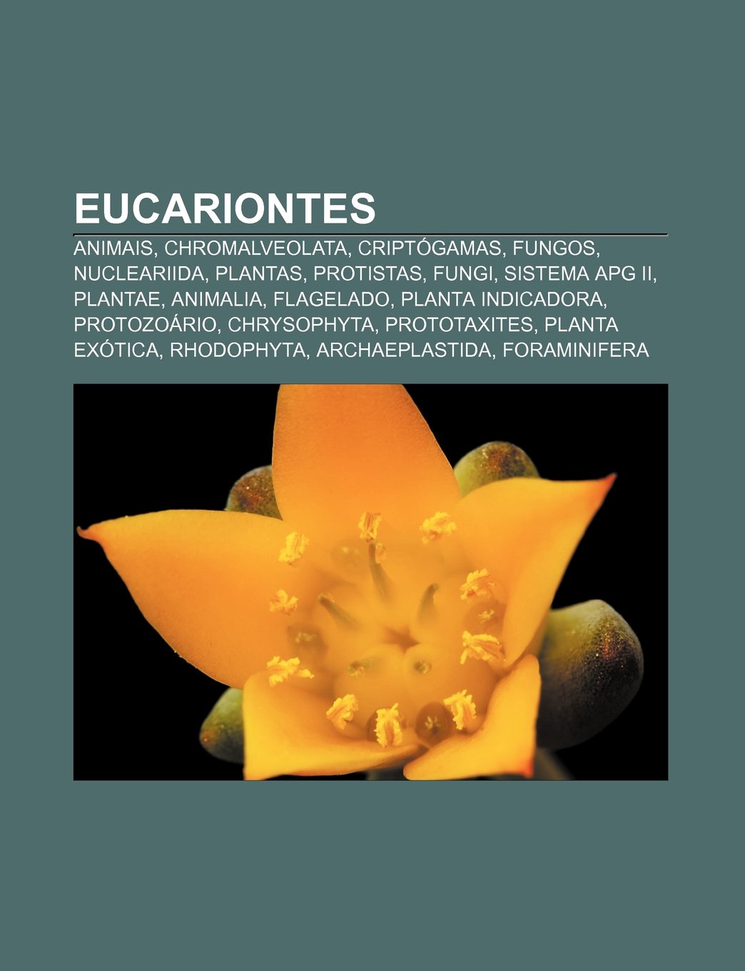 Eucariontes: Animais, Chromalveolata, Criptogamas, Fungos, Nucleariida ...