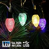 USB LED Christmas Lights | The Green Head