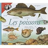 Amazon.fr - Tous les poissons marins du monde - Patrick Louisy - Livres