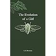 The Evolution of a Girl: Bowman, L.E., Worden, Marie: 9781733854603 ...