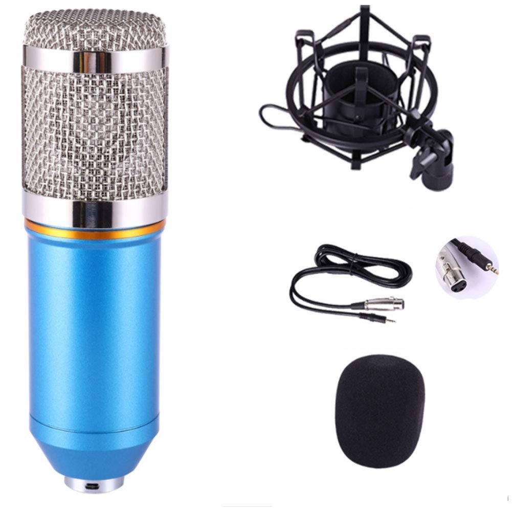 Mua Home Studio Condenser Microphone Kit, Live Sound Card Microphone ...