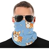 Amazon.com: Pop Doggie Spring Break Springer Spaniel Fridge Magnet ...