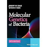 Molecular Genetics of Bacteria, 4th Edition (ASM Books): Snyder, Larry ...