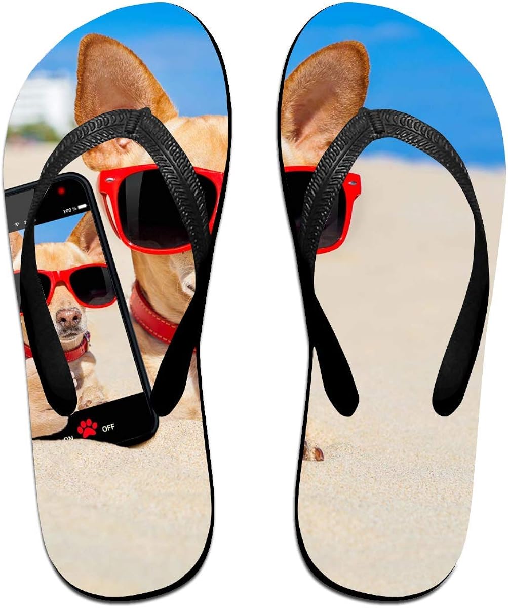 Perros Chihuahua con Lentes Unisex Adultos Chanclas Informales Sandalia ...