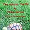 The Autistic Turtle: Thomas Morrow: 9780692437247: Amazon.com: Books