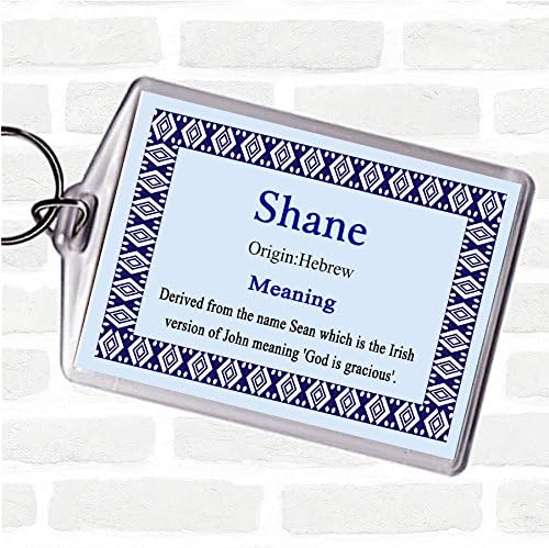 Shane Name Meaning Bag Tag Keychain Keyring Blue: Amazon.co.uk: Office ...