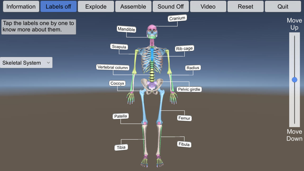 Skeletal System:Amazon.in:Appstore for Android