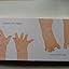 Ten Little Fingers and Ten Little Toes: Amazon.co.uk: Mem Fox, Helen ...