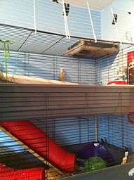 Ferplast Rabbit 120 Double Rabbit Cage, 118 x 58 x 102 cm: Amazon.co.uk ...